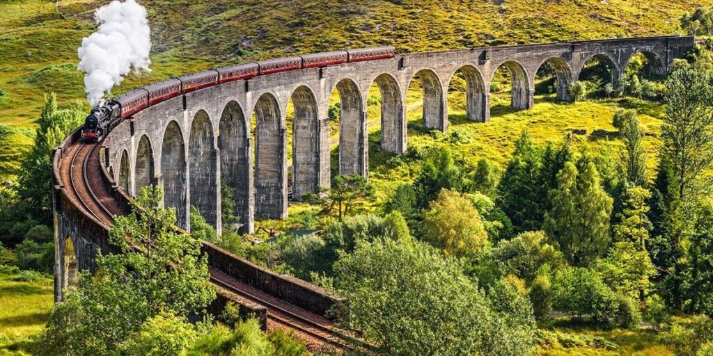 Q/A with Wesley Weld-Moore | Allied Surveyors Scotland